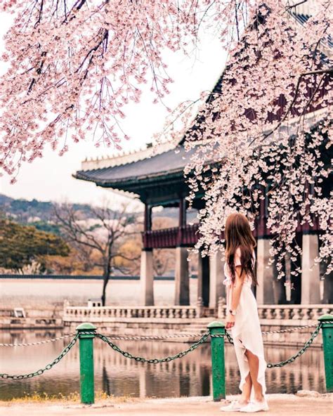 O que fazer em Seoul roteiro 6 dias e 17 atrações Apure Guria