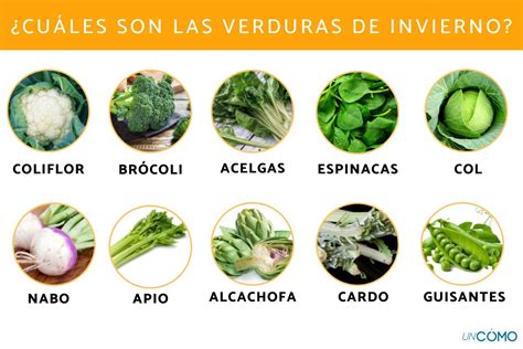 Cuáles son las verduras de invierno Conoce las de esta temporada y