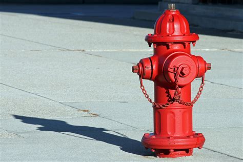 Vérification et maintenance incendie Mackiona fils