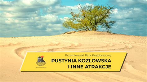 Pustynia Kozłowska i Przemkowski Park Krajobrazowy co zobaczyć i