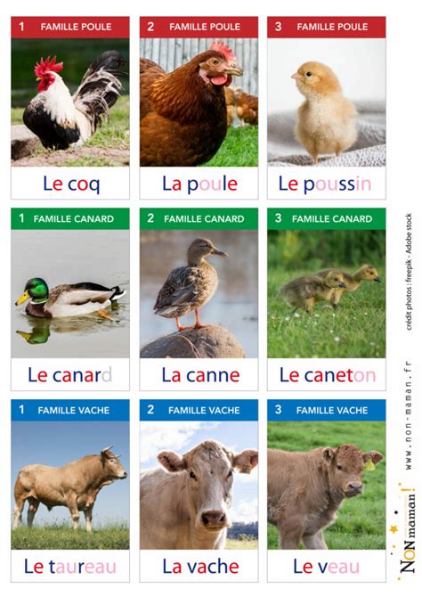Jeu De 7 Familles Des Animaux De La Ferme NON Maman