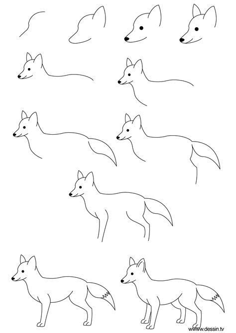 Top Id Es Tutos De Dessins Renard