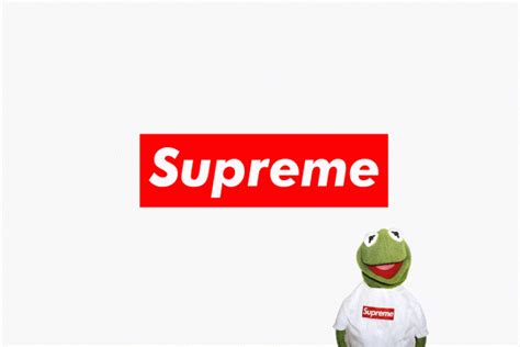 Kermit The Frog Wallpapers Top Free Kermit The Frog Backgrounds