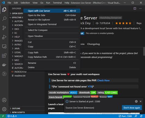 browser load local javascript file in chrome for testing stack overflow