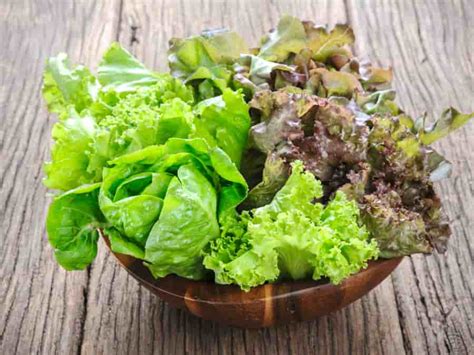 10 Vegetais Que Soltam O Intestino Cozinhando Will