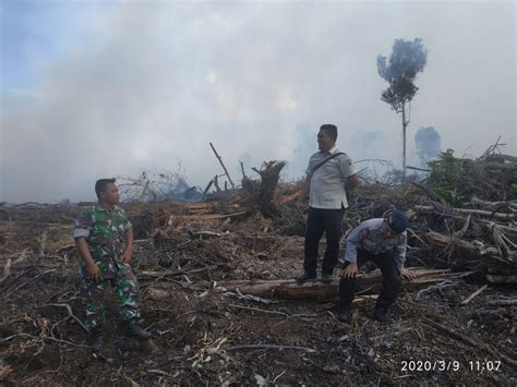 Kebakaran Lahan Gambut Di Perbatasan Aceh Barat Aceh Jaya Meluas