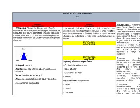 Zika Historia Natural HISTORIA NATURAL DE LA ENFERMEDAD ZIKA PERIODO