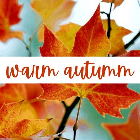 Explore The 12 Seasons Of Color At Radiantly Dressed Warm Autumn