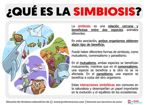 Qu Es La Simbiosis Definici N De Simbiosis