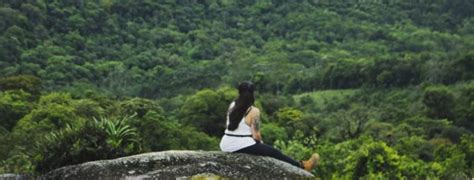 Pico Do Descalvado Mapas Tur Sticos Online