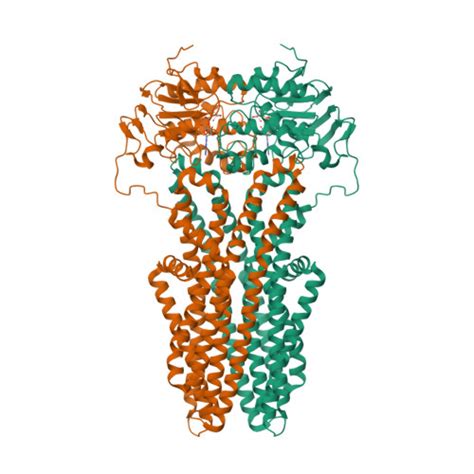 RCSB PDB 7ZNU Cryo EM Structure Of CGT ABC Transporter In Detergent