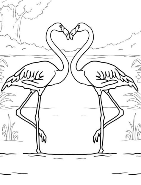 Coloriage Flamant Rose Gratuit Imprimer