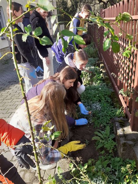 Pola Nadziei sadzenie cebulek żonkili Szkoła Podstawowa im Adama