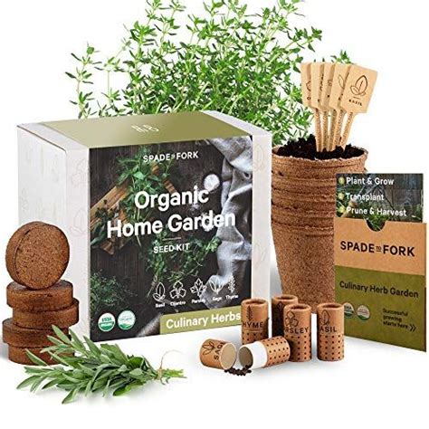 The Best Herb Garden Kits To Have Fresh Herbs Year Round Artofit
