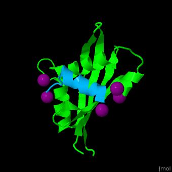 Nuclear Receptor Coactivator Proteopedia Life In 3D