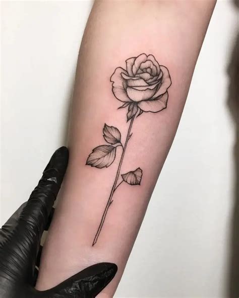 Tatuagem de rosa feminina 30 fotos lindíssimas para fazer