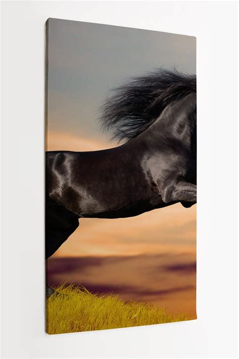 Obraz Na P Tnie Homeprint Czarny Ko Majestatyczny Galop Ko