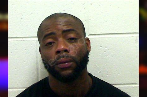 Brandon Tippins Bulloch County Jail Bookings