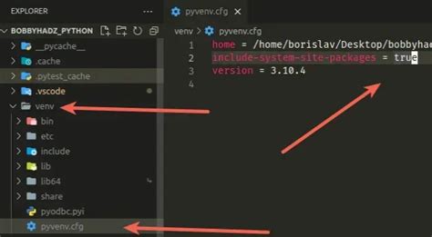 Could Not Install Packages Due To An OSError WinError 2 The System