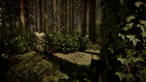 Sons Of The Forest Wallpapers Top Free Sons Of The Forest Backgrounds