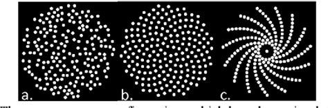 figure 1 from design of a 2d sparse array transducer for integration into an ergonomic