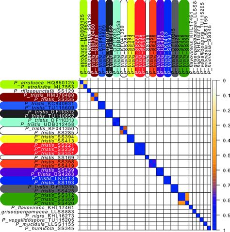 pairwise similarity matrix between the clusters of the stacey species download scientific