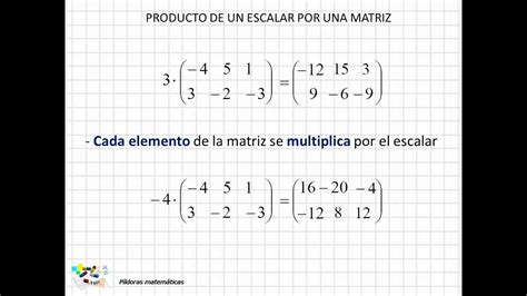 Producto De Un Escalar Por Una Matriz Youtube
