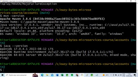 GitHub Vitoriaacarvalho Mvn Clean Install Error Description