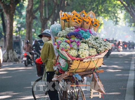 Những chiếc xe chở mùa Thu trên phố phường Hà Nội Photo