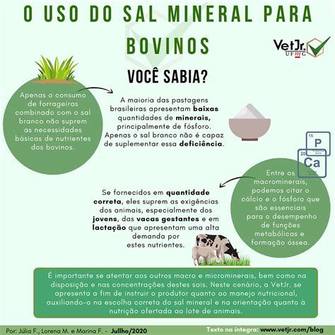 O Uso De Sal Mineral Para Bovinos