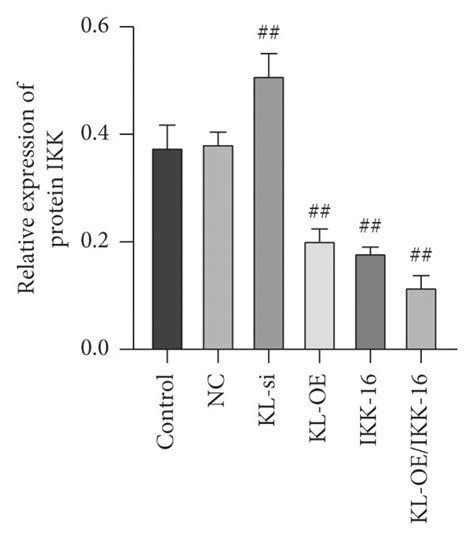 Expression of KL NF κB and IKK in microglia a KL gene expression