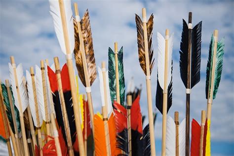 Arrows Archery Fletching Free Photo On Pixabay