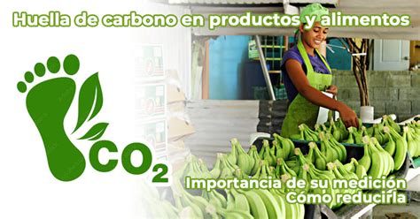 C Mo Reducir La Huella De Carbono Carbono Neutral