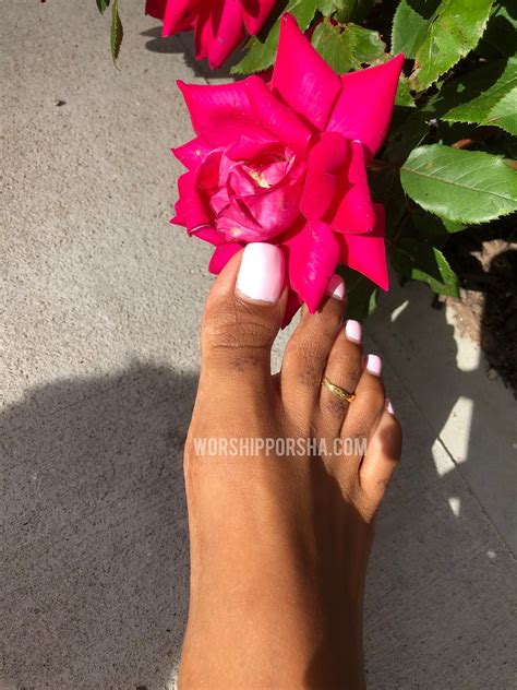 Ebony Feet Pretty Ebony Feet Next To Gorgeous Pink Flower Porsha Parker Flickr