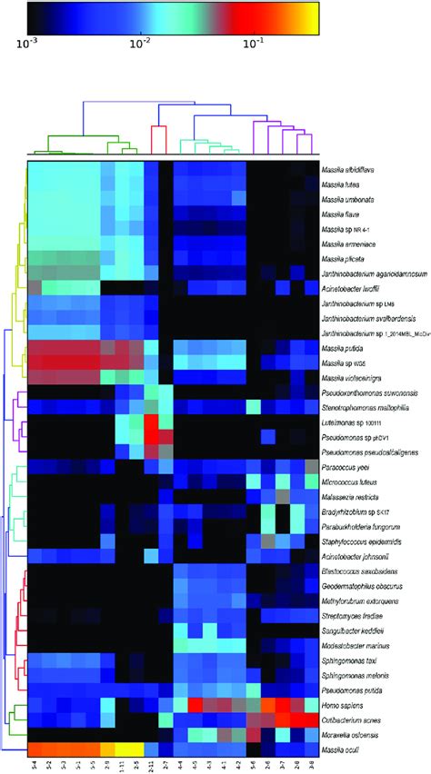 Heat Map And Hierarchical Clustering Of The Top Taxa Mapped By