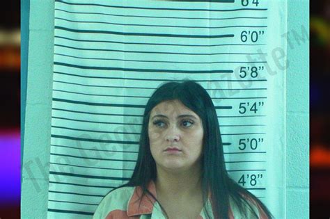 Samantha Elrod Stephens County Jail Bookings