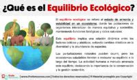 Qu Es El Equilibrio Ecol Gico