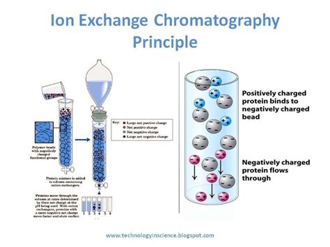 Ion Exchange Chromatography Theory And Principle YouTube