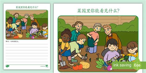 菜园里 你能看见什么 teacher made Twinkl