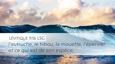 Lévitique 11 16 LSG Desktop Wallpaper lautruche le hibou la