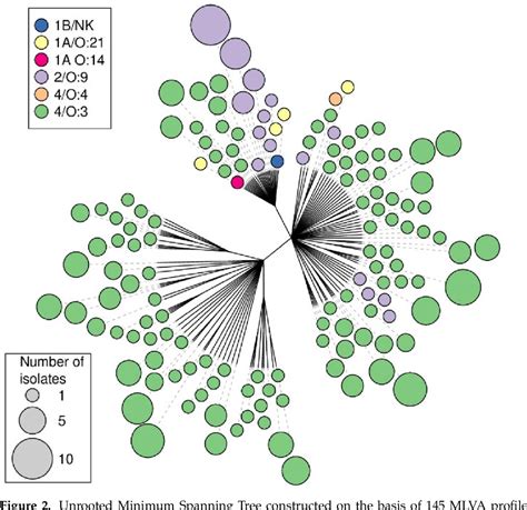 figure 1 from comparison of multiple locus variable number tandem repeat analysis profiles of