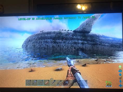 Leedsichthys Ark Leedsichthys Official ARK Survival Evolved Wiki