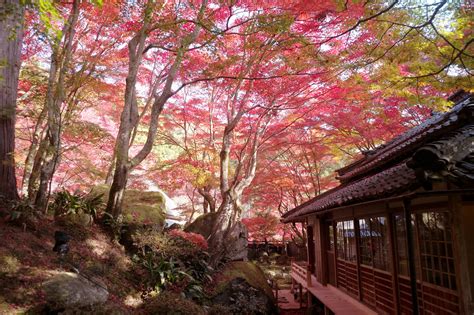 Autumn Kyorinbo Temple Higashi Omihachiman City Shiga Pr Flickr
