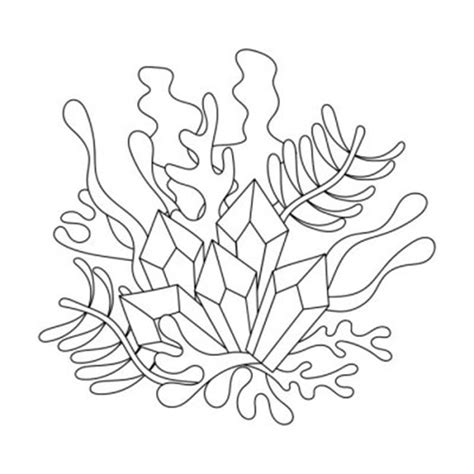 Desenhos De Algas Para Imprimir E Colorir Pintar