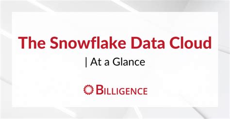 The Snowflake AI Data Cloud At A Glance Billigence