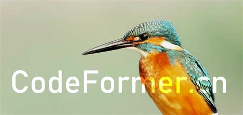 Codeformer Gui Codeformer