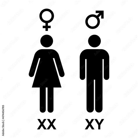 chromosome x y sex determination xx female and xy males vector sign