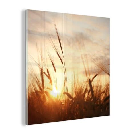 Tableau Toile MuchoWow Carré 20x20 cm au Herbe Coucher de