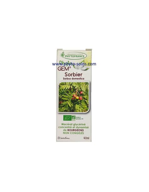 Sorbier en Macérat Glycériné Concentré BIO