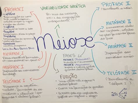 Mapa Mental Sobre Meiose Study Maps Artofit